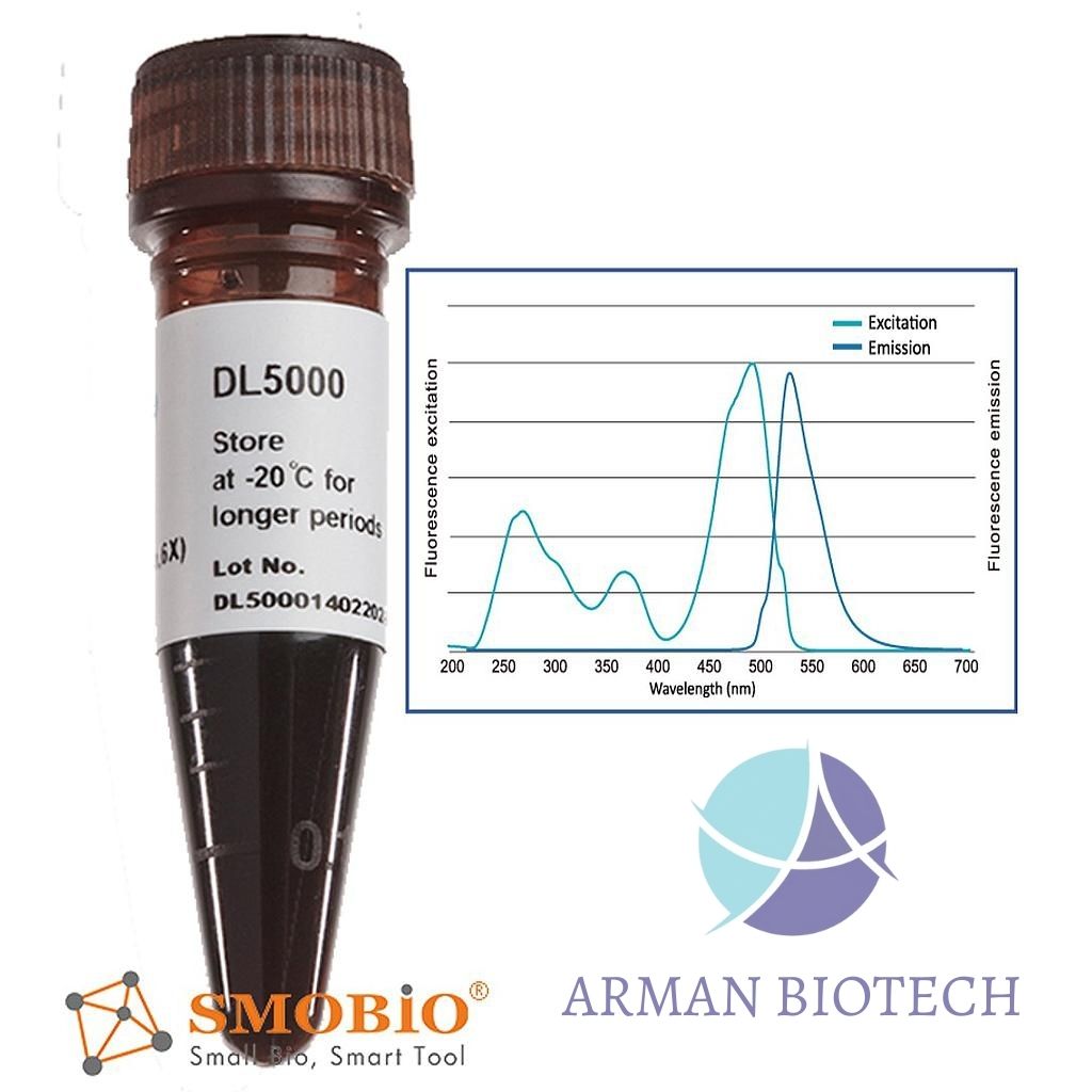 لدر 1KB DNA، محصول اسمو بایو، 500μl، کت نامبر DM3100 ⚡️