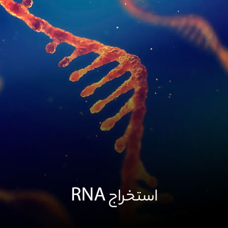 محصولات استخراج RNA - آرمان بایوتک